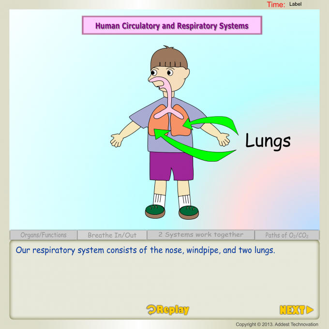 Human Systems Part 2: Human Circulatory and Respiratory Systems - Lessons